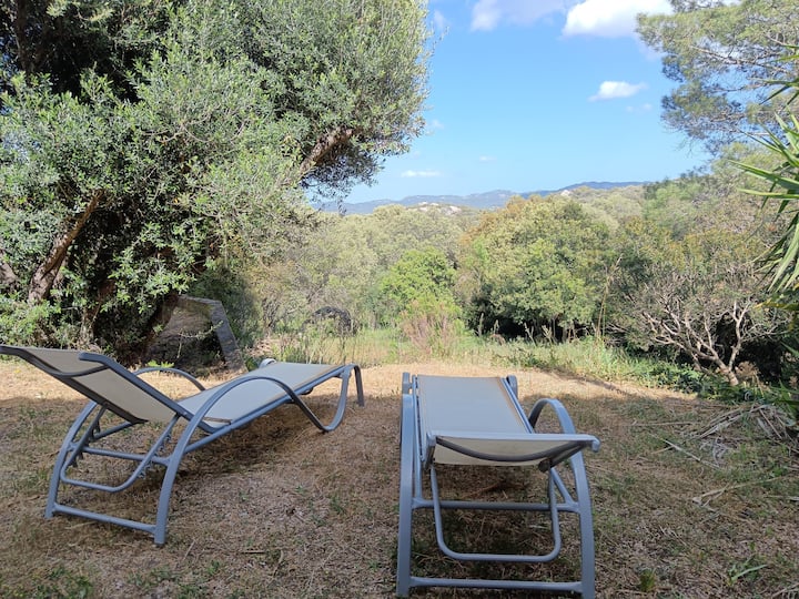 Logement Entier Vue Vallée - Pianottoli-Caldarello