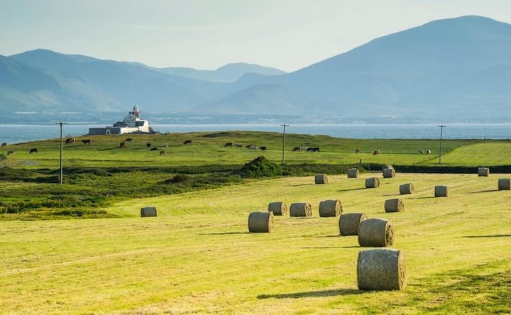 Lighthouse Lodge - Dingle Peninsula