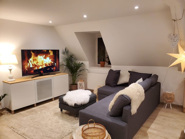 Duplex Sous Les Toits - Ribeauvillé