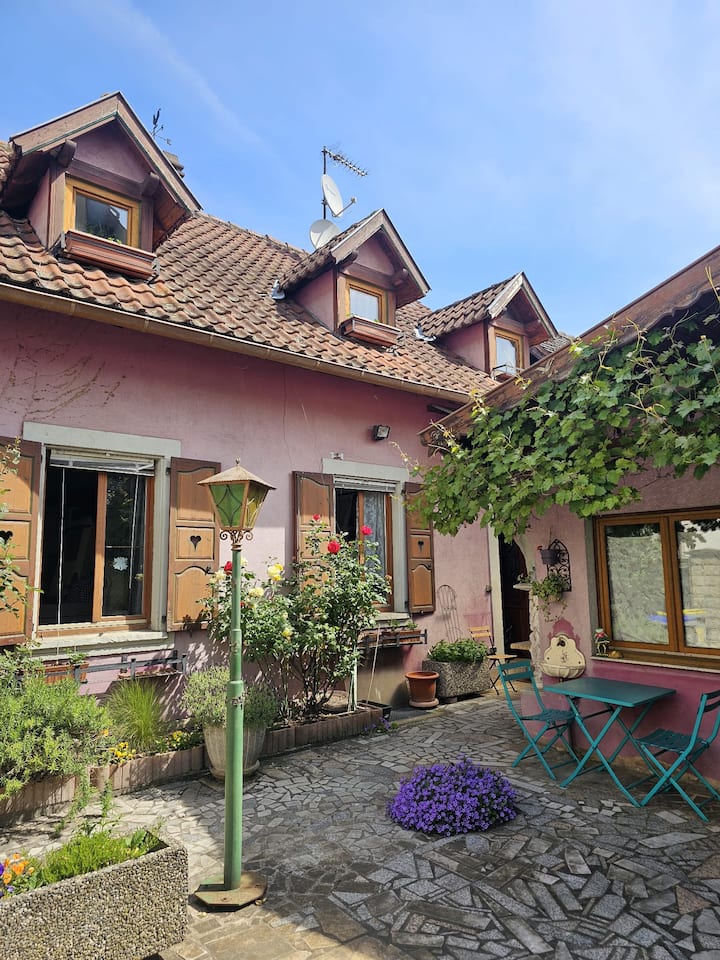 Maison Paradis Croneuva Stasbourg - Strasbourg