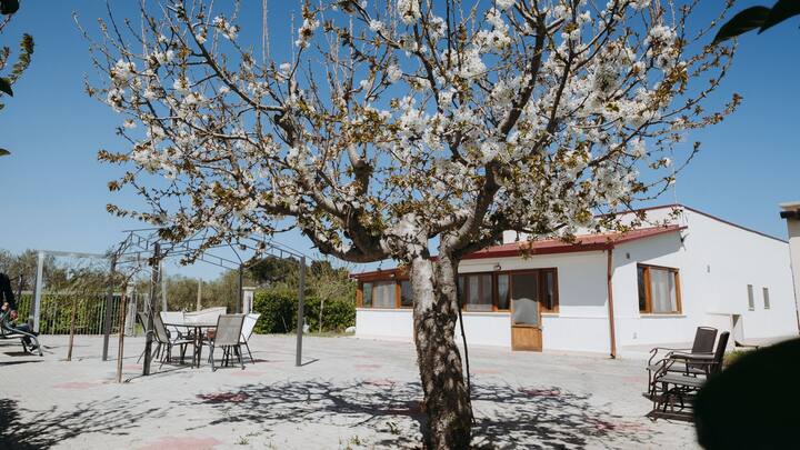 Belvedere House Country - Mottola
