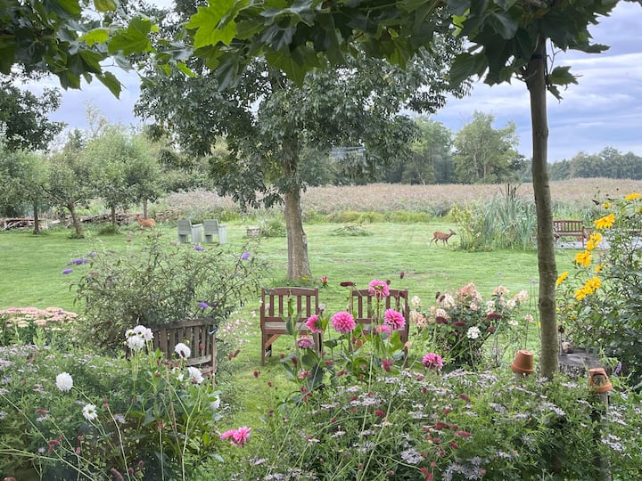B&b De Tapuit - De Rietkamer - Giethoorn