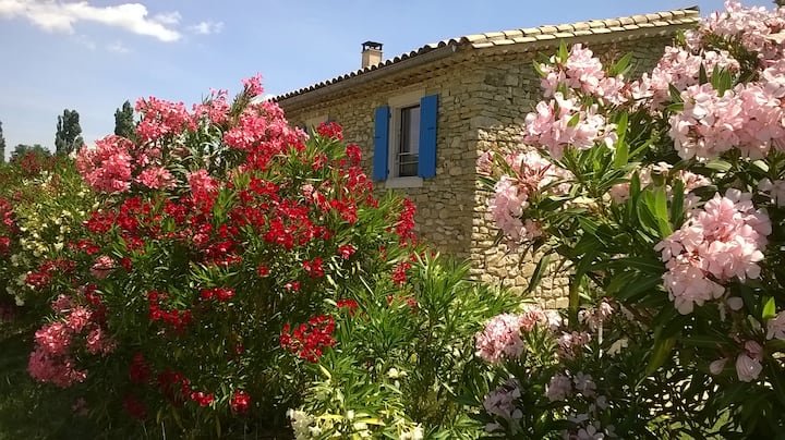 Maison 15 Personnes, Marsanne - Crest