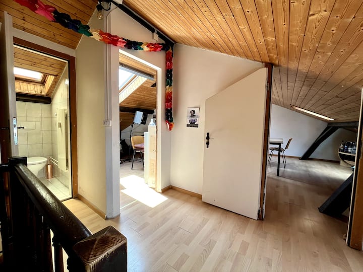 Central Maisonette Apartment - Basel