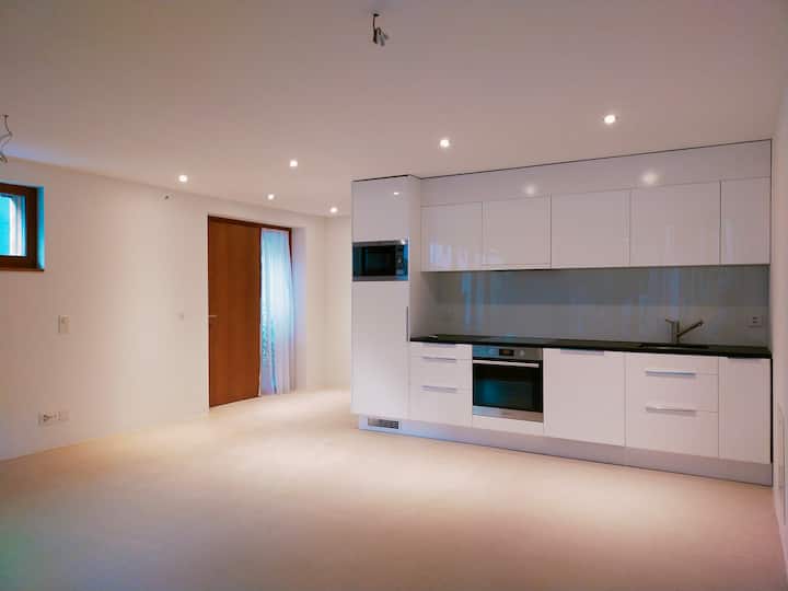 Modern 2 Room Apartement - Basilea