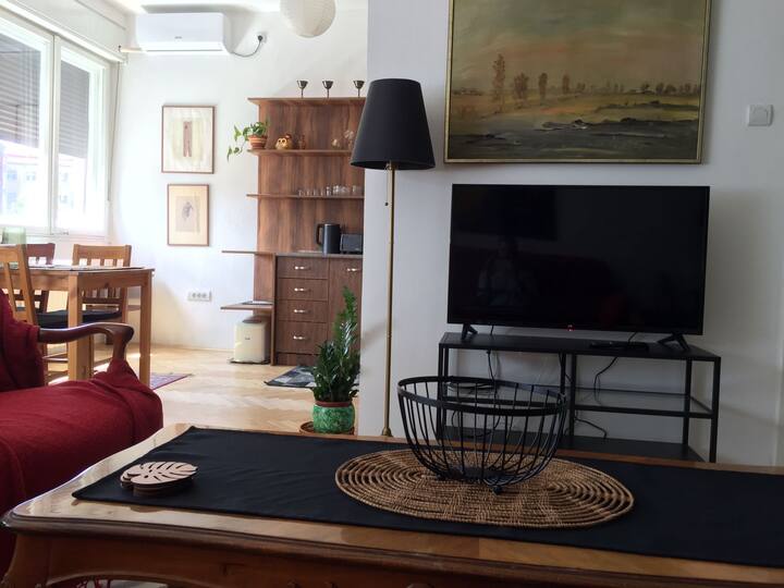 Sunny Central Apartment - Belgrado
