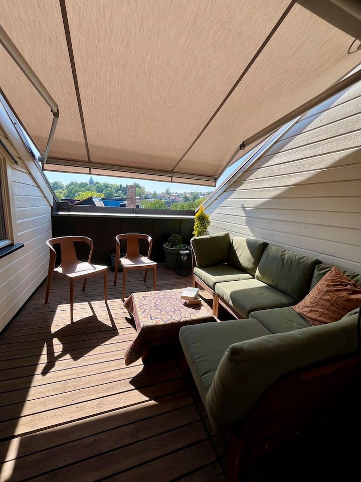 Cozy Rooftop Apartment - Oslo