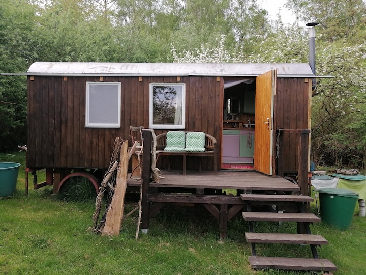 Bauwagen Mit Blick In Eine Streuobstwiese - Bad Belzig