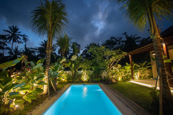 Adi Laxmi Villa Ubud 3br - Gianyar