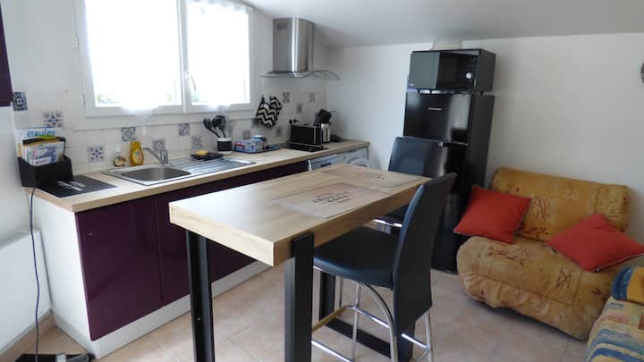 Studio Presqu'île D'avert - La Palmyre