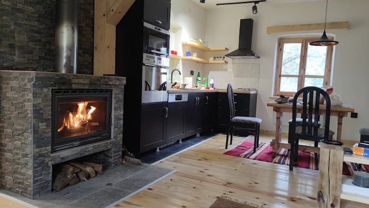 Apartman Tana - Bajina Bašta