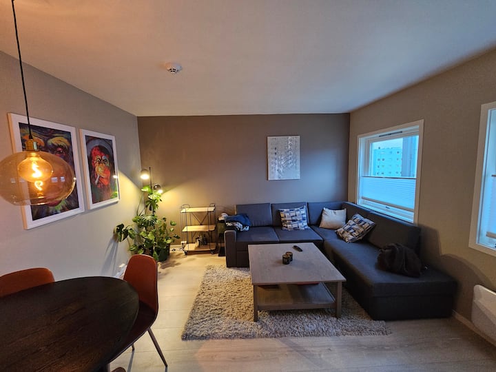 Upgraded Flat Near Airport And Centrum - トロムセー