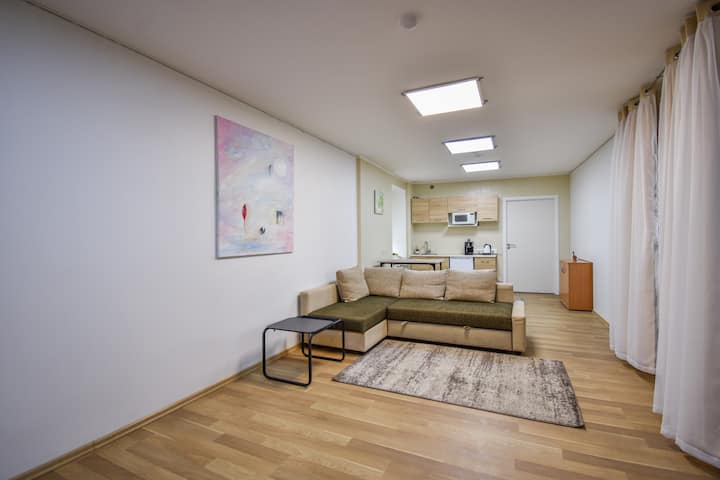 A Cozy And Quiet Apartment With Private Entrance. - Lithuania