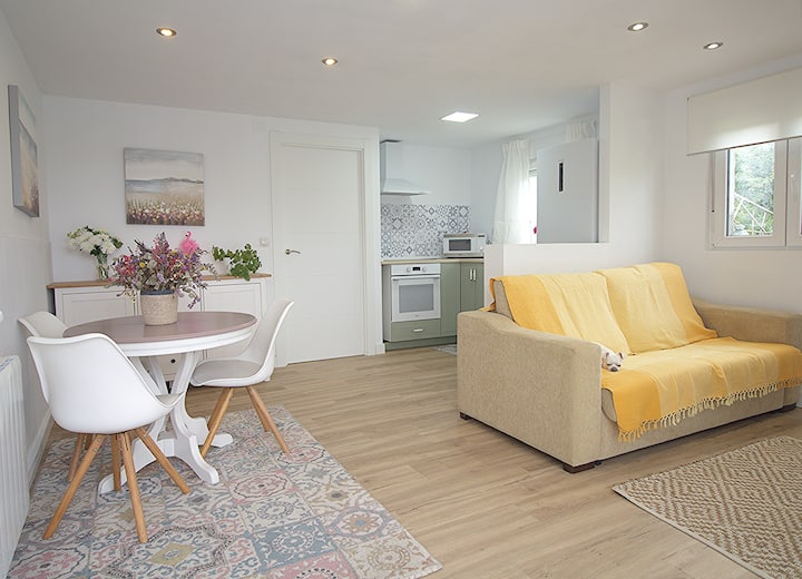 Apartamento  Playas Arnia&san Juan Canal - Santa Cruz de Bezana