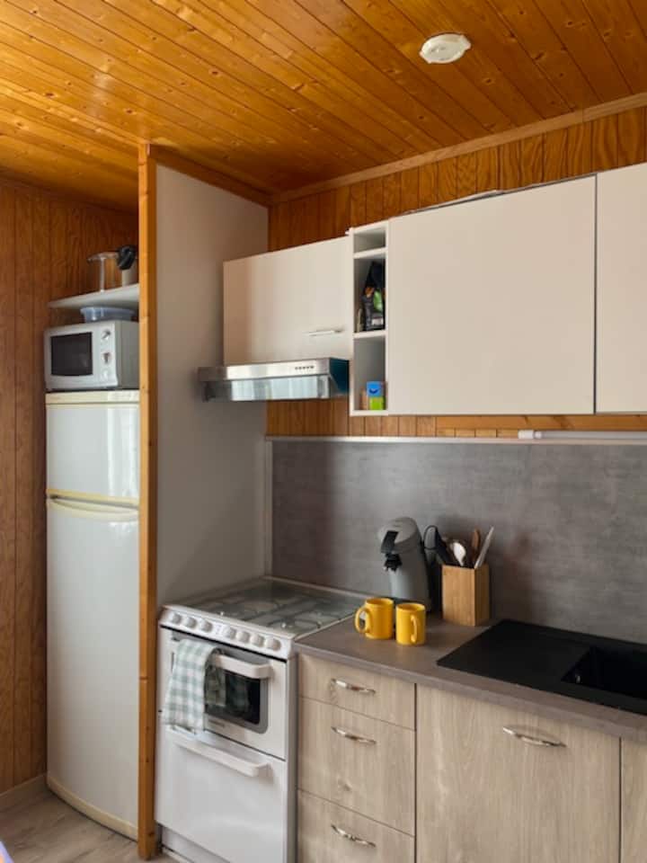 Joli Chalet Climatisé Clôturé, Près Du Plan D'eau - Thiers