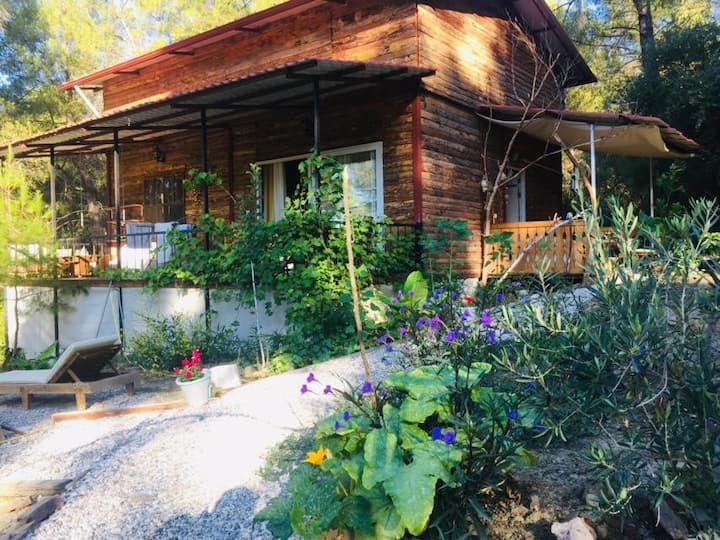 Olimpos Ta Orman Içinde Ahşap Müstakil Ev - Çıralı