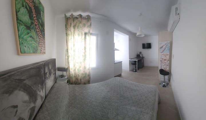 Boomerang 3. Estudio - Benidorm