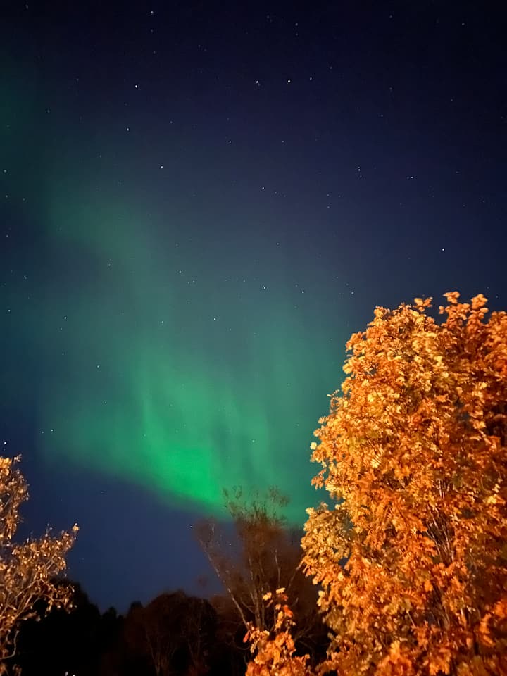 Flott Leilighet Sentralt I Tromsø. - Tromsø