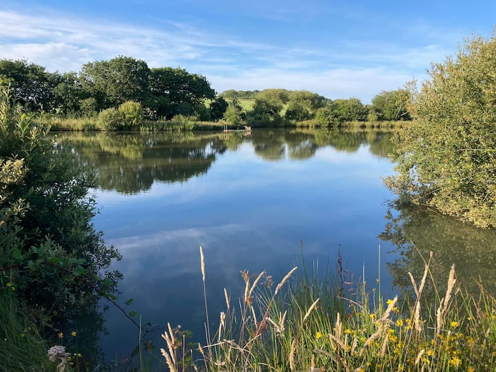 Members Only - Hare Tent Pitch - Holsworthy