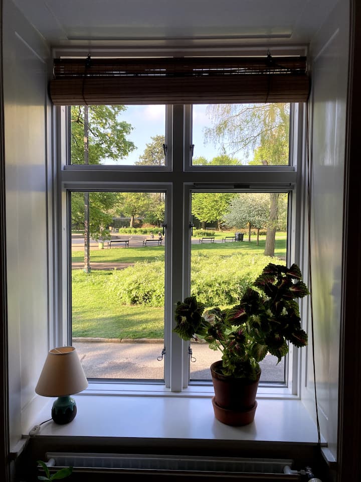 Hyggelig Med Parkudsigt, Centrum - Copenhaguen