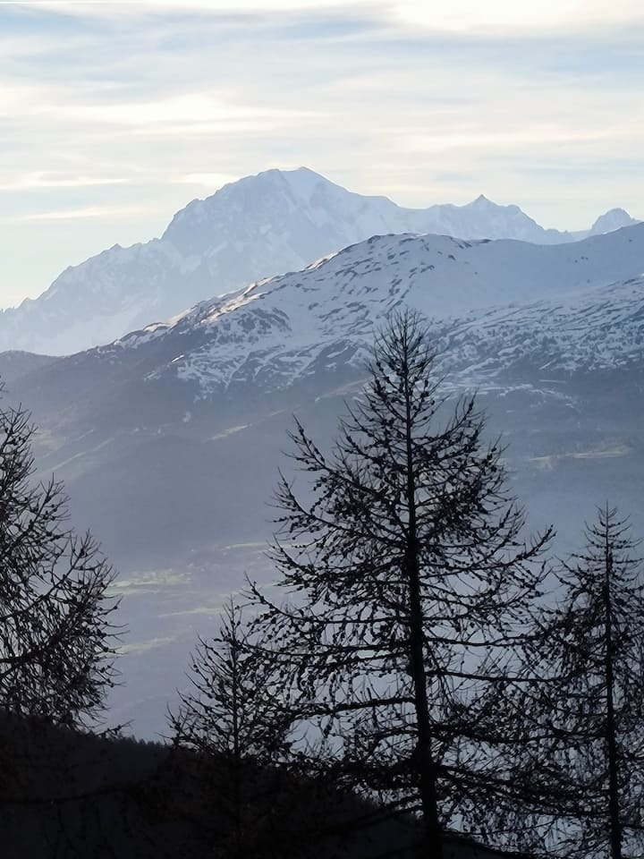 Il Nido Di Montagna - Cogne