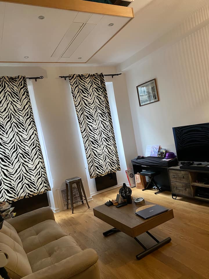 Appartement Paris 15 - París