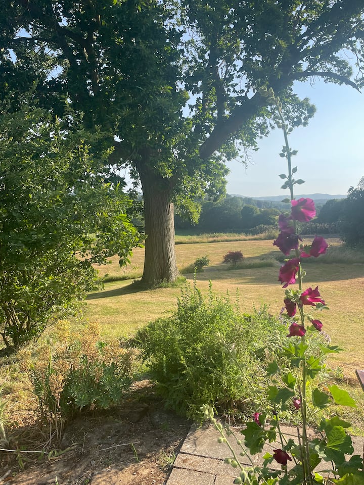 Family Home Near Cowdray - South Downs