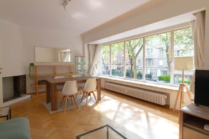 Ixelles : Magnifique Appartement Lumineux - Brussels