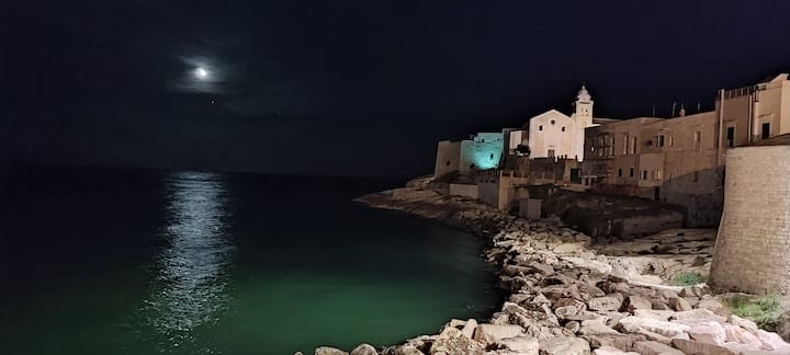 Maison Très Centrale En Bord De Mer - Vieste
