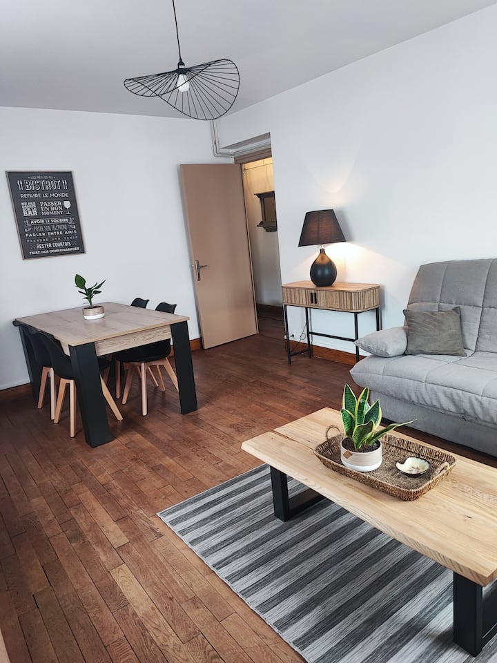 Appartement Centre Ville - Châtillon-sur-Seine
