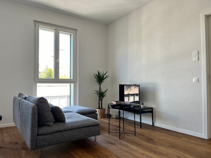 Bright And Stylish Apartment - Geneva