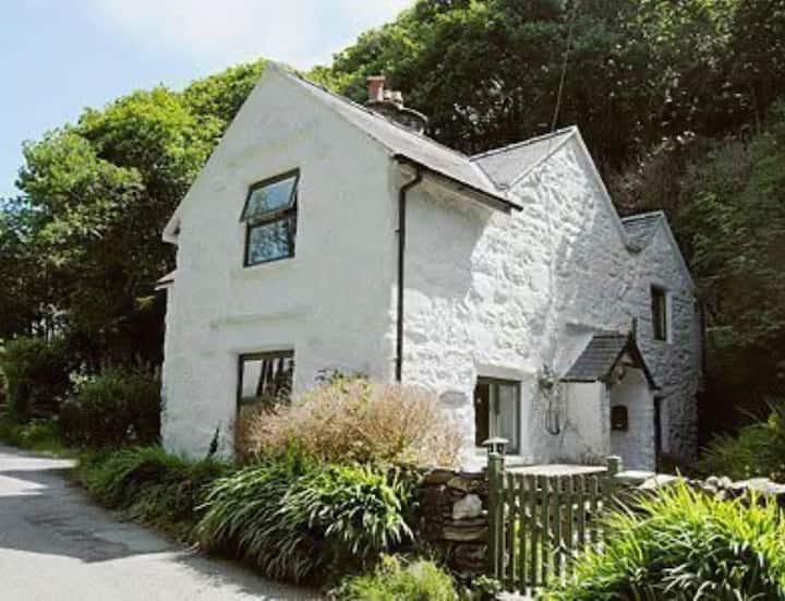 Plas Bach Friog - Barmouth