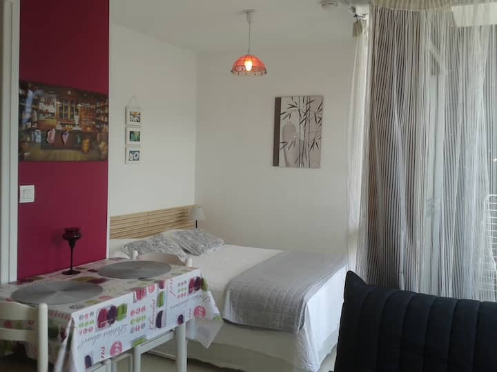 Beau Studio Centre Ville Avec Parking - Aix-les-Bains