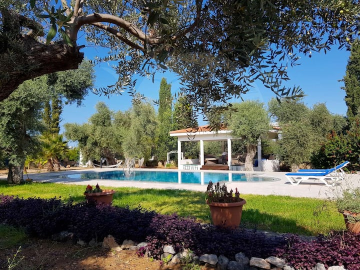 Mansion With Pool&pavillion - Girne