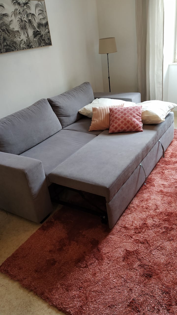 T2 Cosy Proche Centre Ville Avec Cour Aménagée+box - Saint-Claude