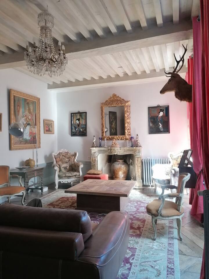 Appartement Hôtel Particulier - Salers