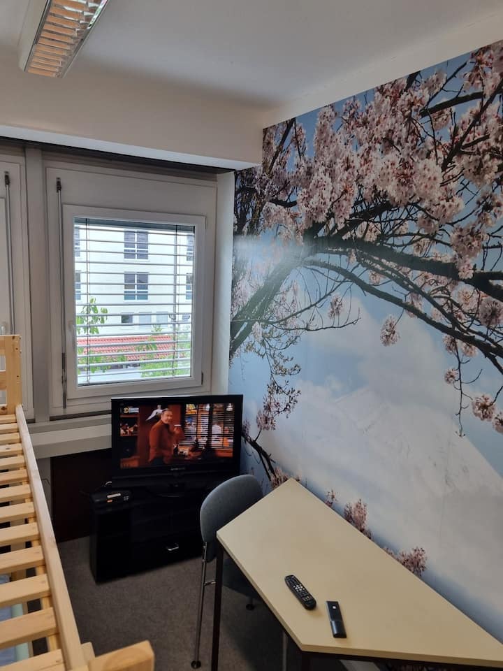 Magnolia-zimmer - Ingolstadt