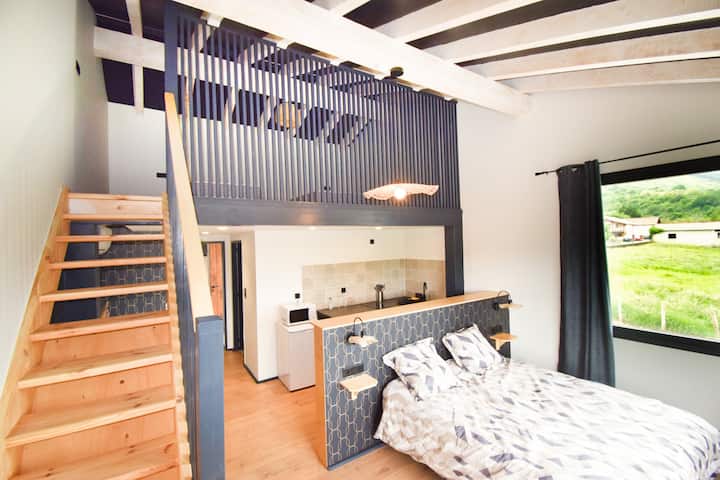 Magnifique Duplex Vue Montagnes Axuria - Espelette