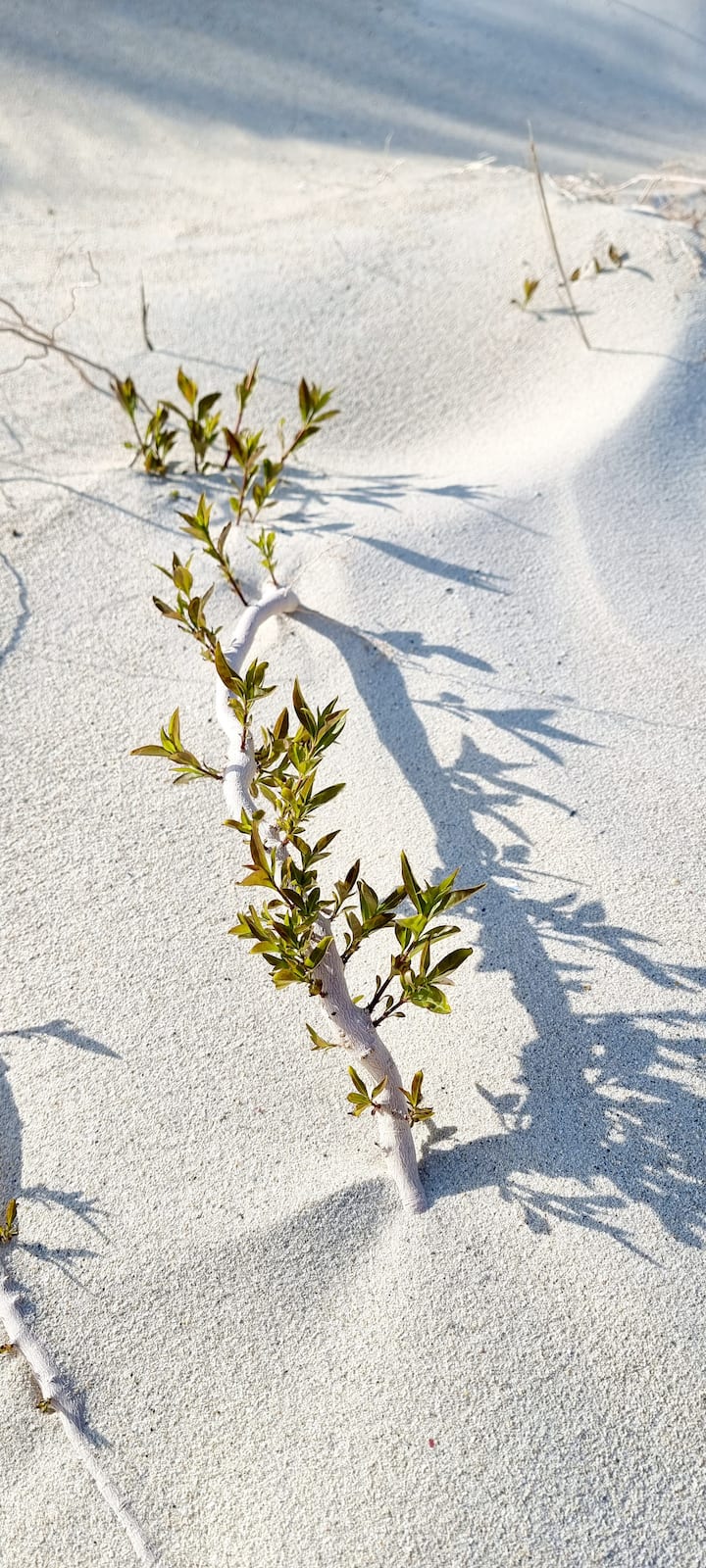 Villa Coco Merveilleux Cocon Spa, Salle De Jeux - Plouescat