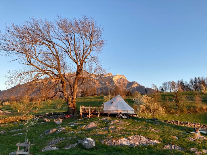 Unter Der Esche - Natur / Erlebnis / Aussicht - Switzerland