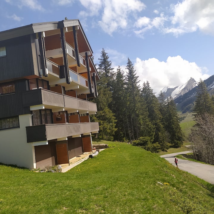 Studio 4 Personnes Manigod Col Du Merdassier - Manigod