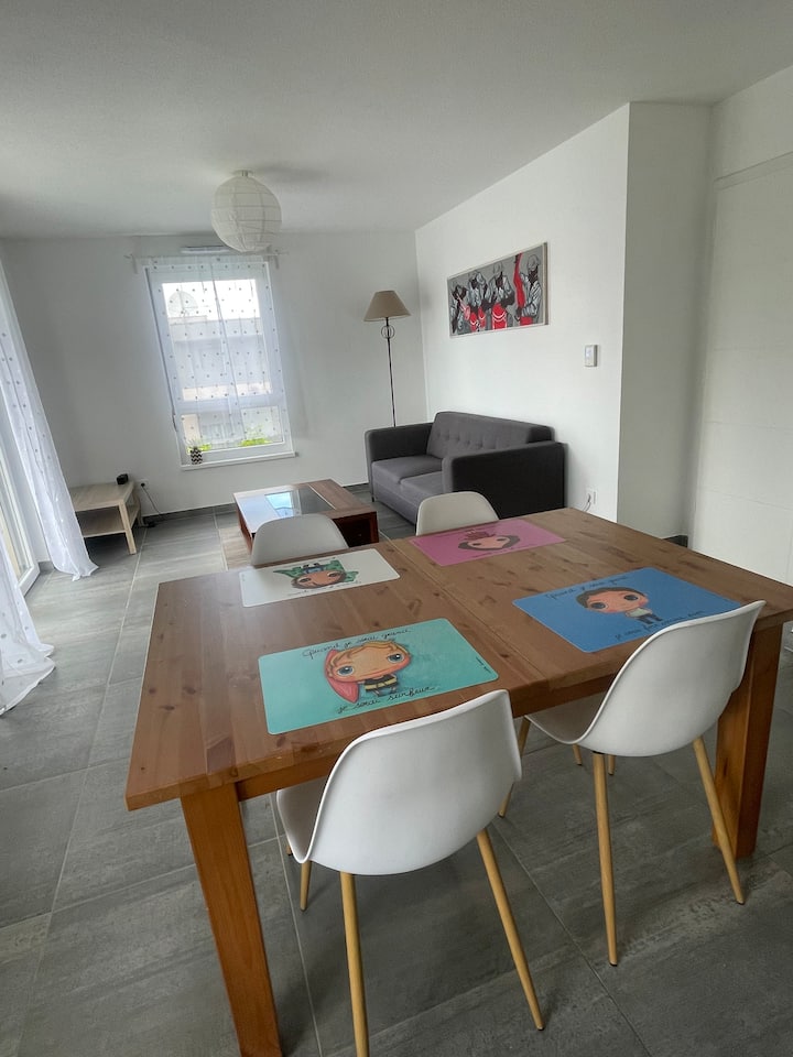 Bel Appartement Proche Du Centre-ville - Hôpital de Hautepierre