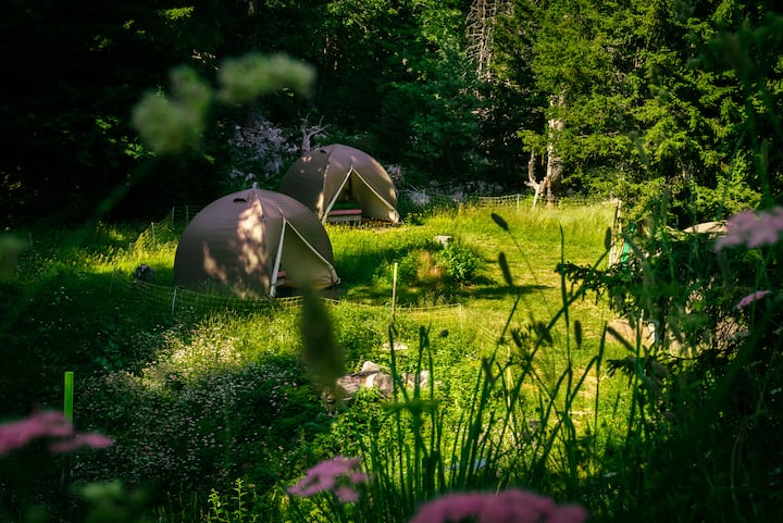 Nuit Insolite En Eco-bivouac à 20min D'annecy - Annecy