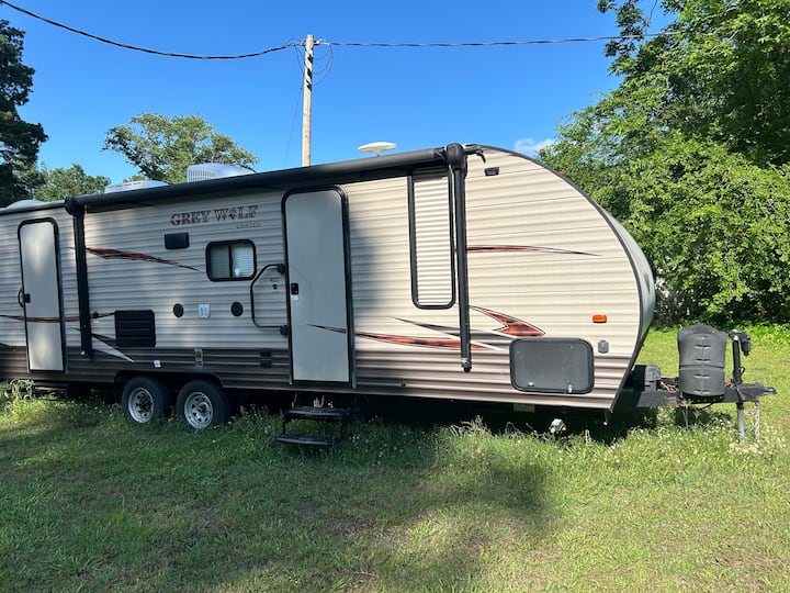 The Travel Companion - Longview, TX