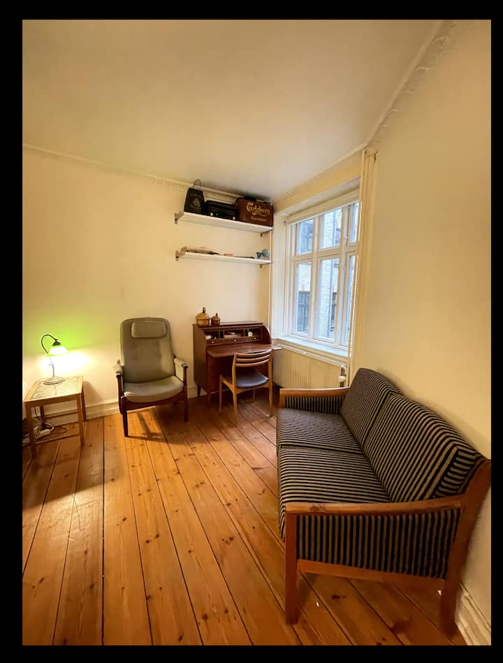 Stor Lejlighed Midt I København - Kopenhagen