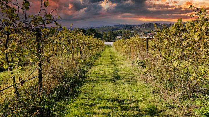 Wellbeing Farmstead - Seville