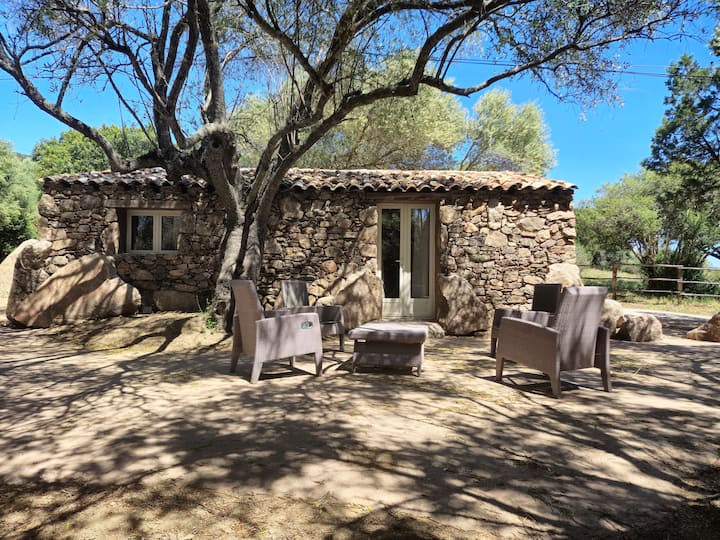 Suite F2 Ranch Campo Palombaggia - Palombaggia