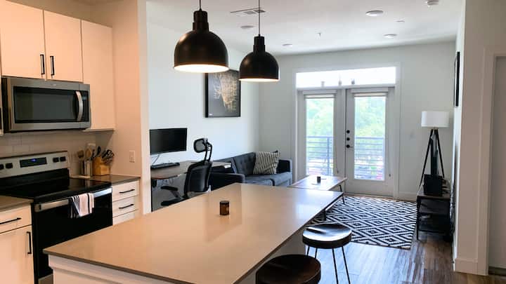 Modern 1 Bedroom Apartment In Austin - Austin, TX