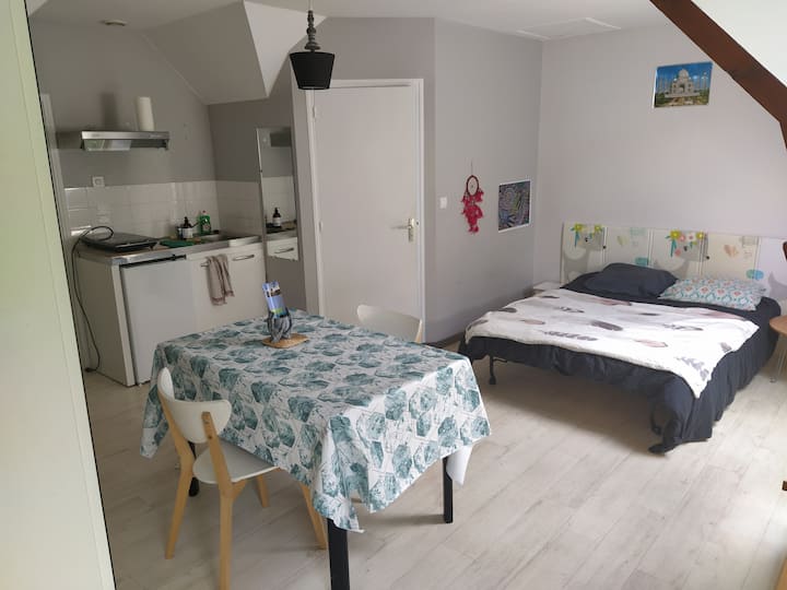 Studio 24 M² - Commerces - Transports En Commun - ibis Rennes Beaulieu