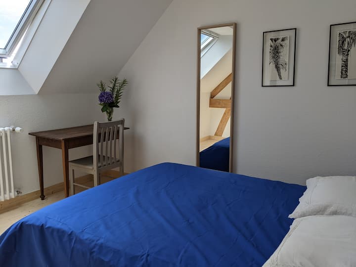 Colocation Lumineuse Et Joyeuse - Quimper